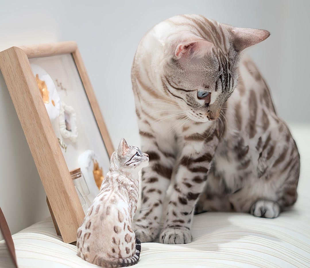 Custom Pet Plaster Fridge Magnets, Pet Photo Frames, Custom Pet Plaster ...