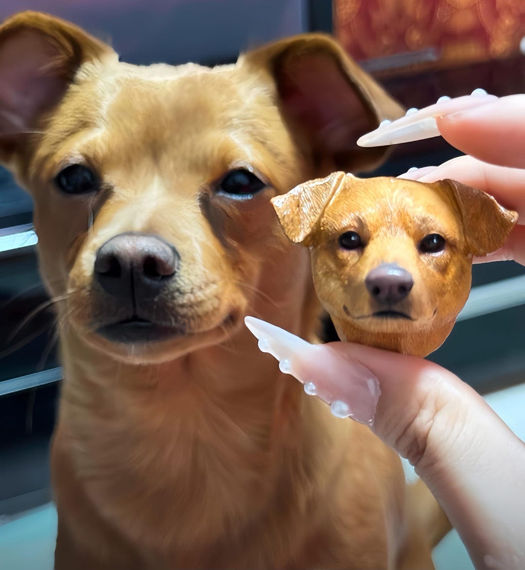 Custom Pet Plaster Fridge Magnets, Pet Photo Frames, Custom Pet Plaster ...
