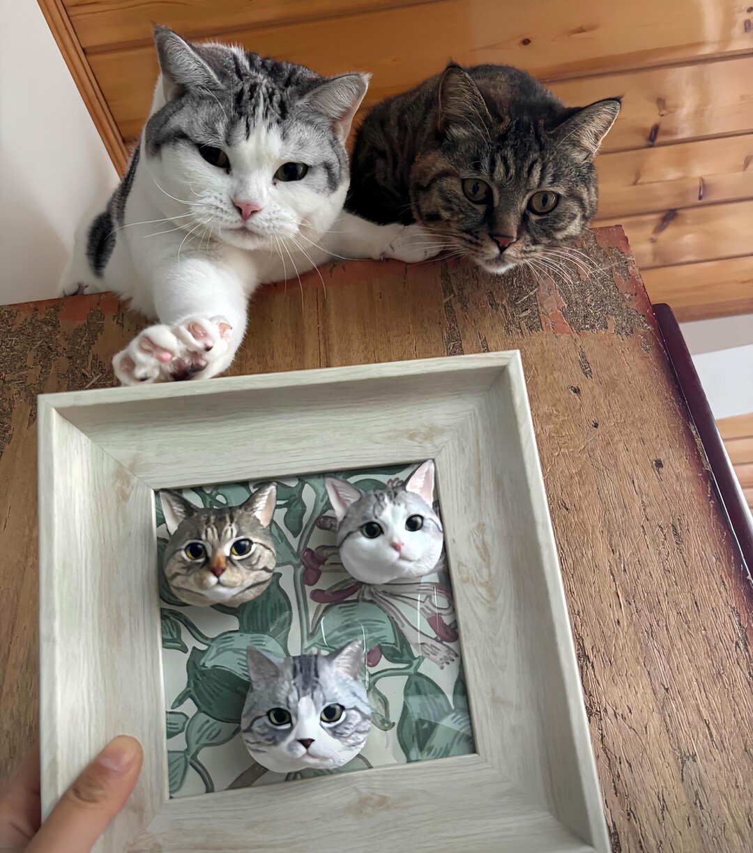 Custom Pet Plaster Fridge Magnets, Pet Photo Frames, Custom Pet Plaster ...
