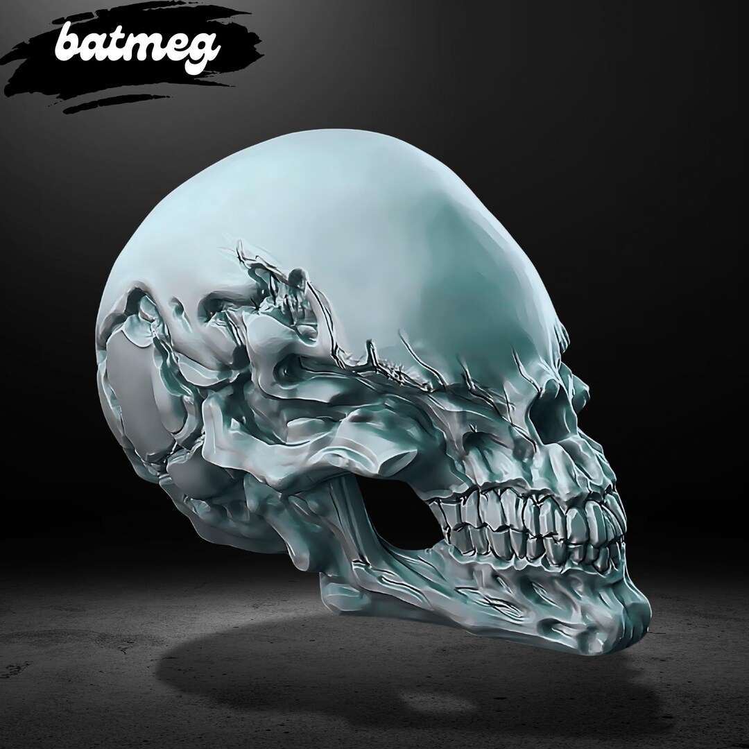 Blind Skull, Blind Skull Stl File 3D Printing, 3D Model, Blind Skull ...