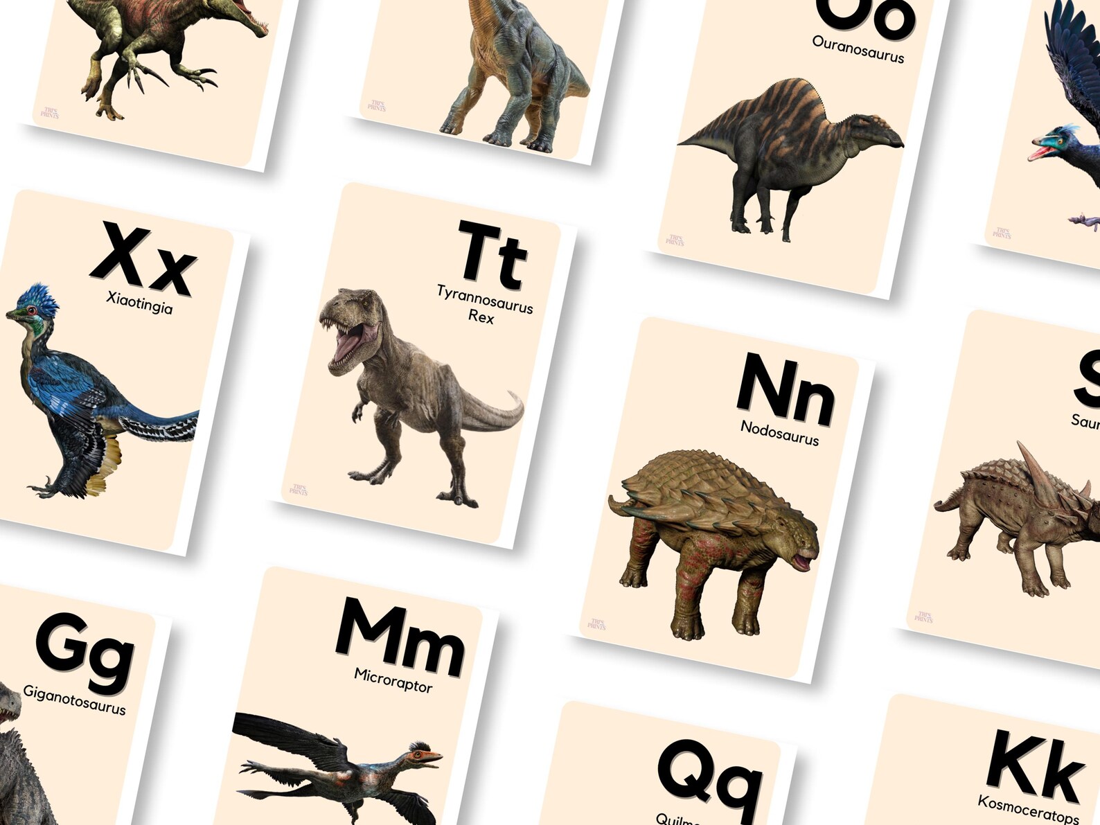 Realistic Dinosaur Alphabet Flashcards A to Z Kids Printable Flashcards ...