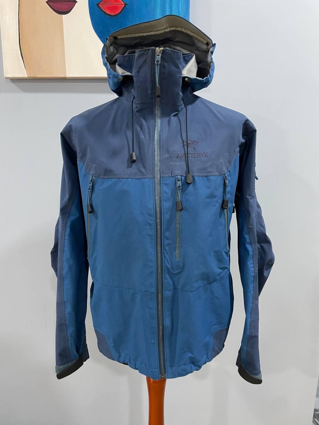 Men's 2003 Vintage Arcteryx Sapphire Theta AR Goretex XCR Jacket Size L ...