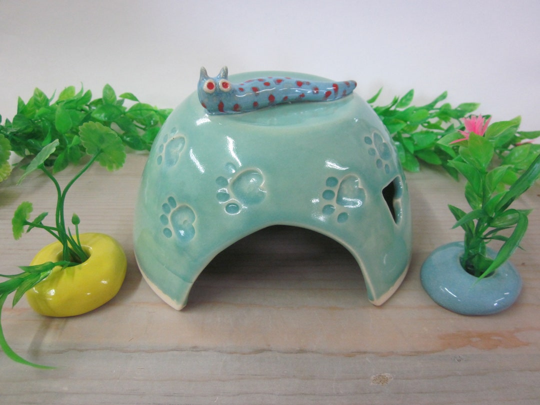 Fish Hides, Reptile Caves, Frog Houses, and Mouse Houses Gifts ...