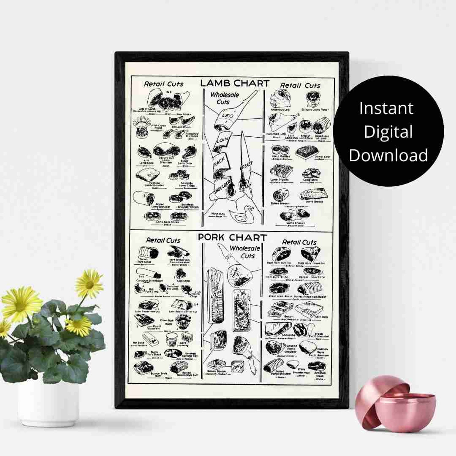 Printable Instant Digital Download Culinary Arts Meat Charts Antique ...