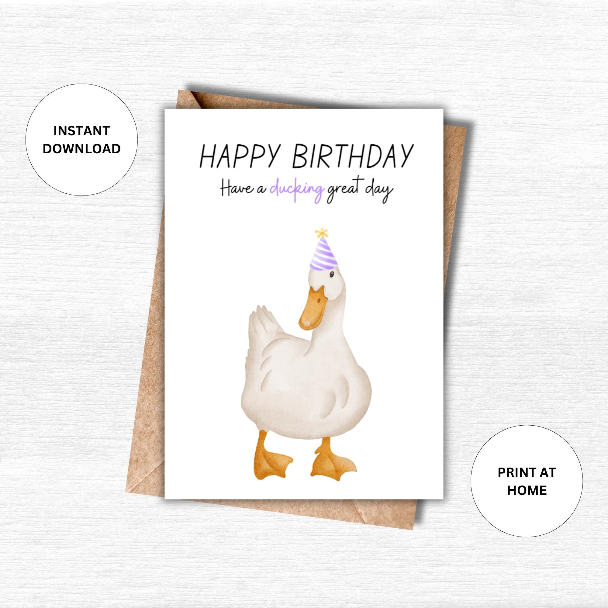 Funny Birthday Card for Birthday Cards for Birthday Card Birthday Card ...