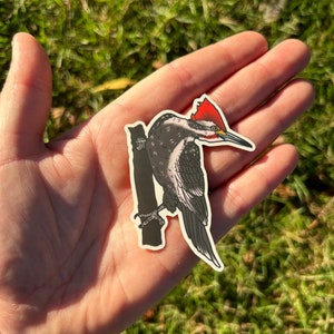 Pileated Woodpecker Vinyl Matte Die Cut Sticker | Bird Lover Gift ...