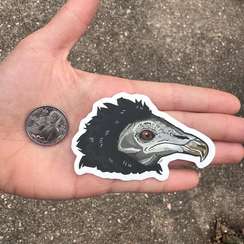 Vulture Art - Etsy