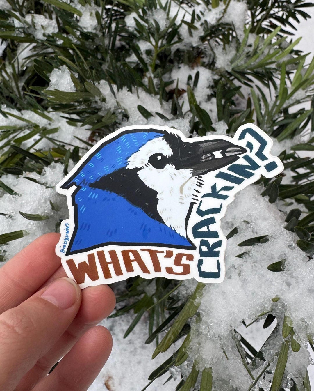 Blue Jay Vinyl Matte Die Cut Sticker | Bird Lover Gift | Wildlife Lover ...