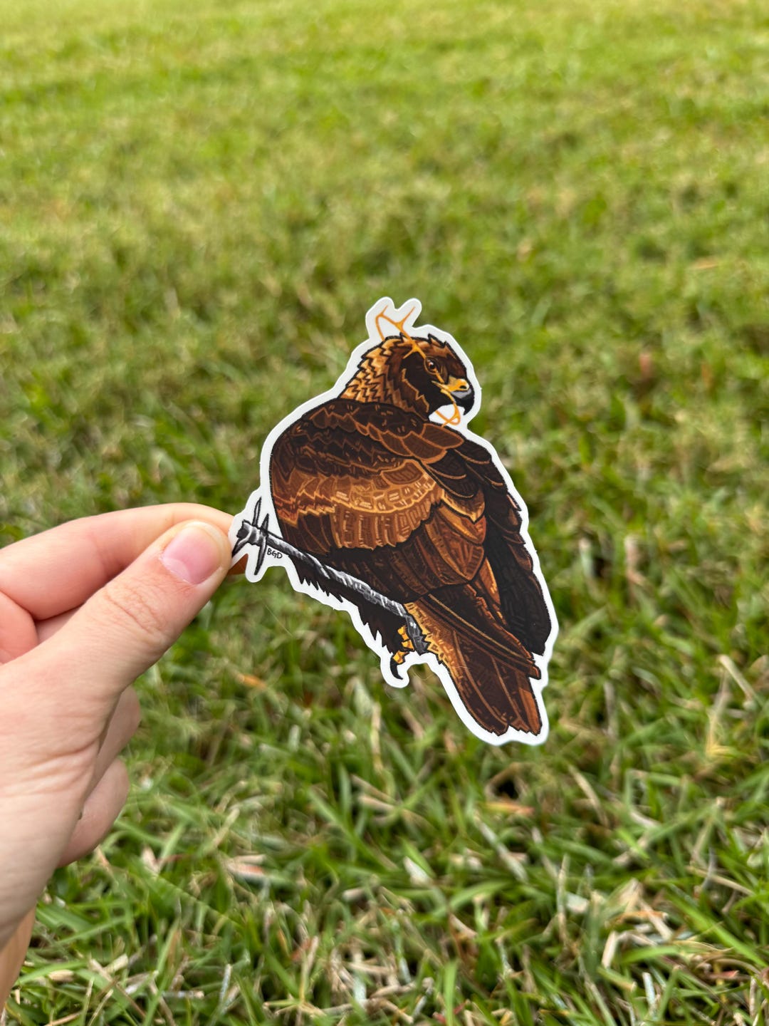 Golden Eagle Die Cut Matte Vinyl Sticker | Raptor Lover Gift | Birds of ...
