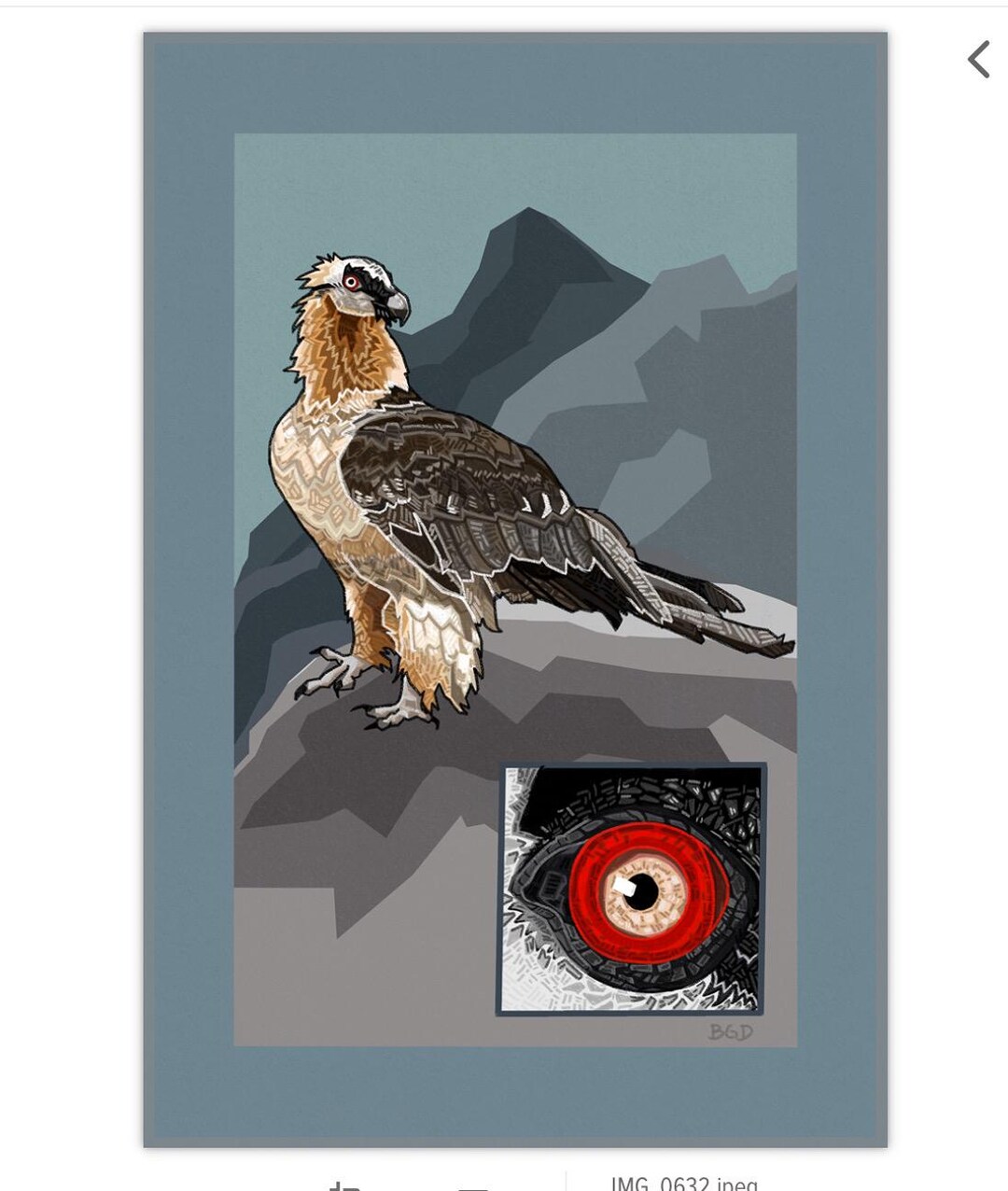 PREORDER Bearded Vulture Landscape Giclee Print | Bird Lover Gift ...