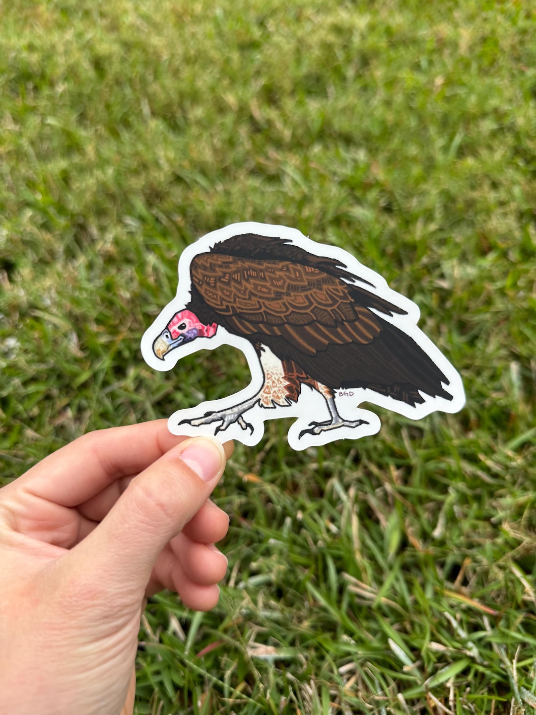 Lappet-faced Vulture Vinyl Matte Die Cut Sticker | Vulture Lover Gift ...