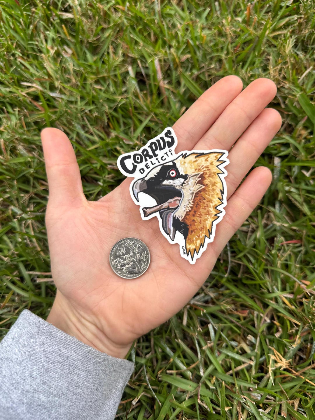 Bearded Vulture Vinyl Matte Die Cut Sticker | Bird Lover Gift | Vulture ...