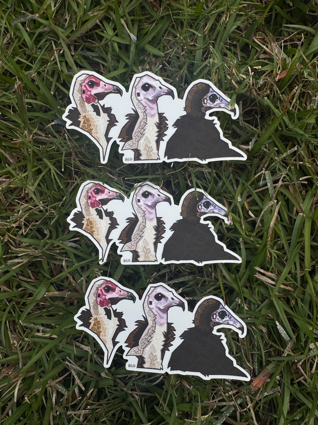 Hooded Vulture Vinyl Matte Die Cut Sticker | Bird Lover Gift | Vulture ...