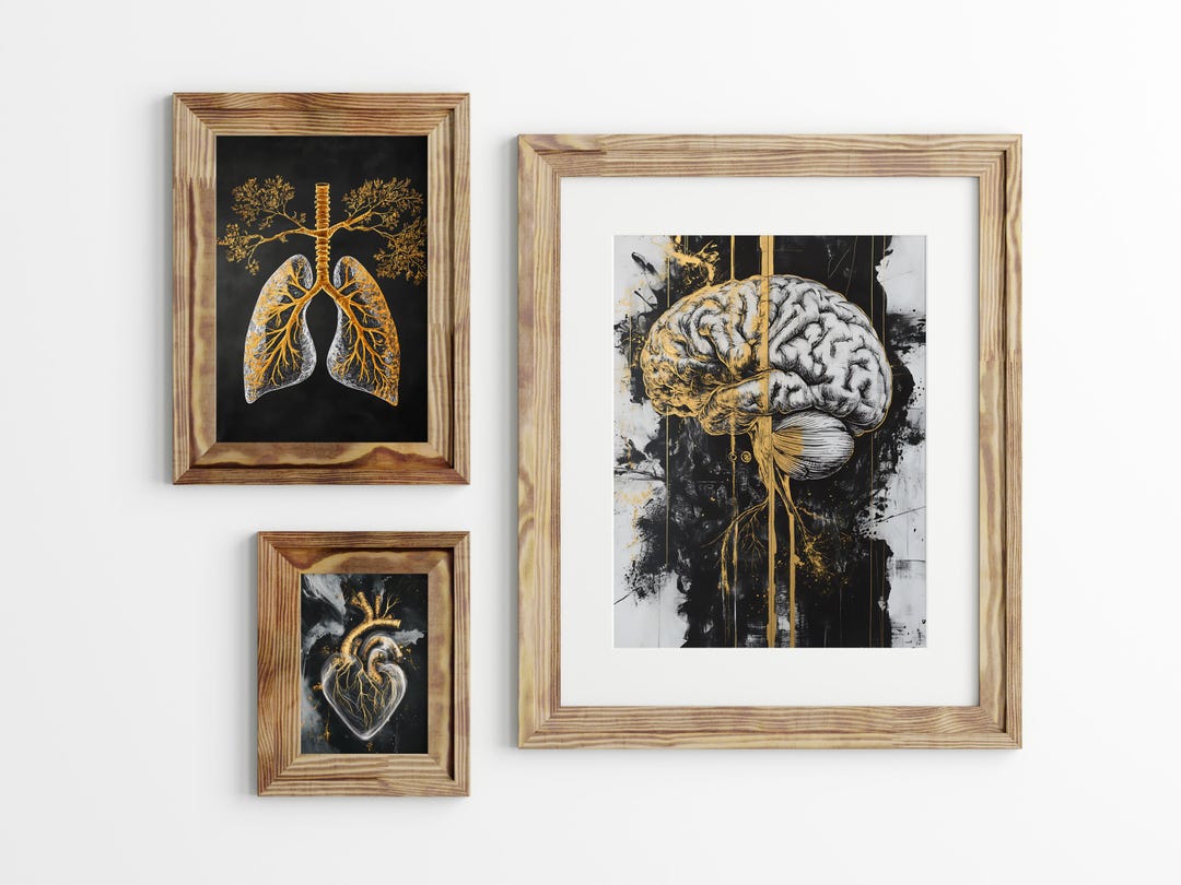Anatomy Wall Art | Set of 3 Prints | Heart | Lungs | Brain | Medical ...
