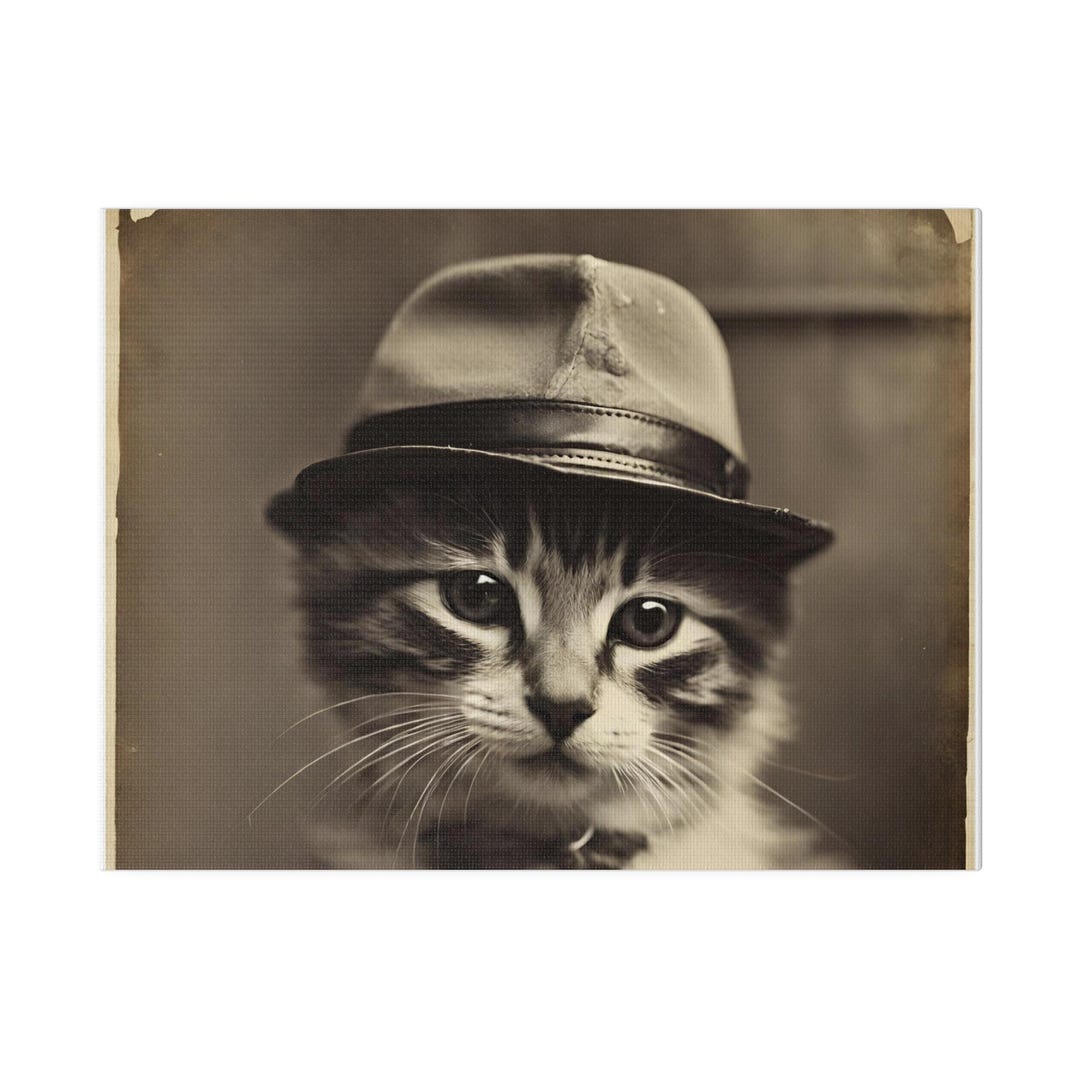 Canva Cat 1, Old Photo Style, Vintage Photo, Cat With a Hat, Cat Photo ...