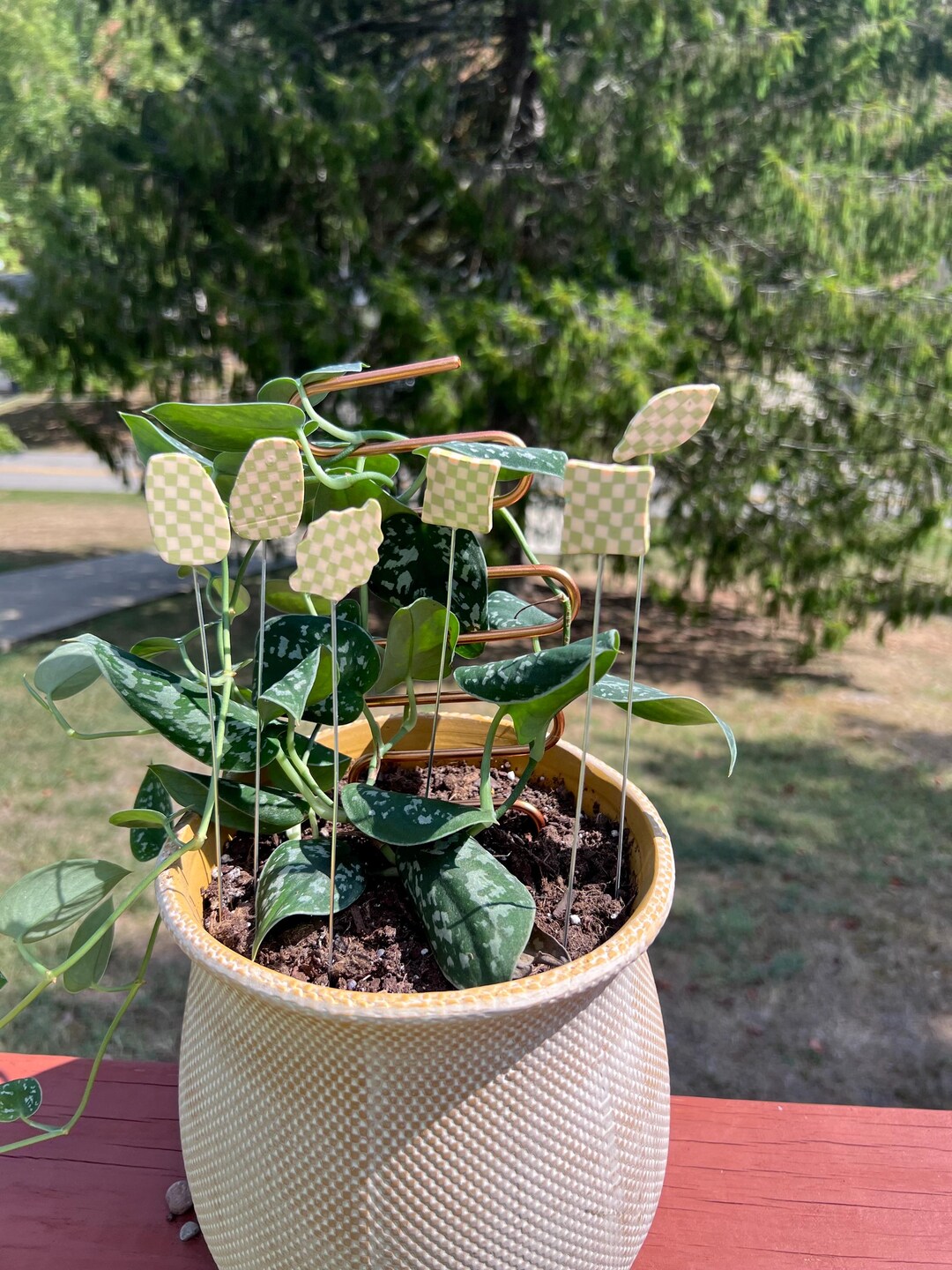 Plant Pals *green and Beige Checkered* - Etsy
