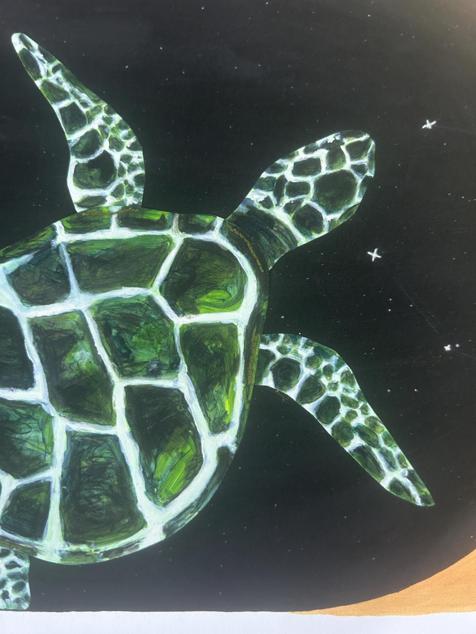 Green Sea Turtle Art Print | Swimming in the Night Sky | Constellation ...