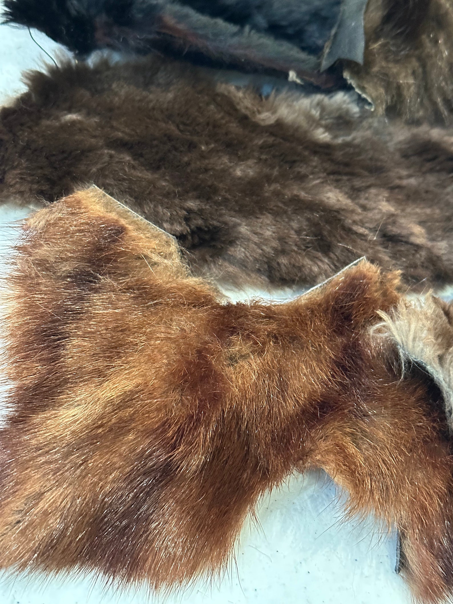 Salvaged Upcycled Mixed Species Fur Scraps - Fox, Muscrat, Beaver, Mink ...