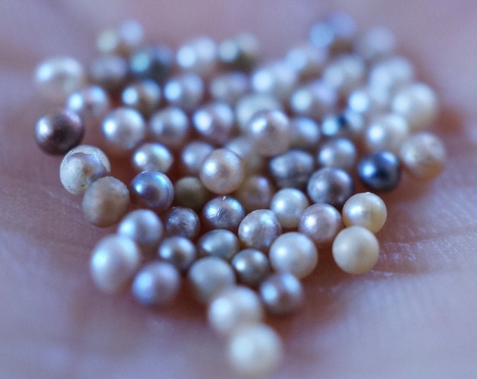 Natural Roundish Seed Pearls (40pcs) — 1.1–1.5mm — Loose Mixed Color ...