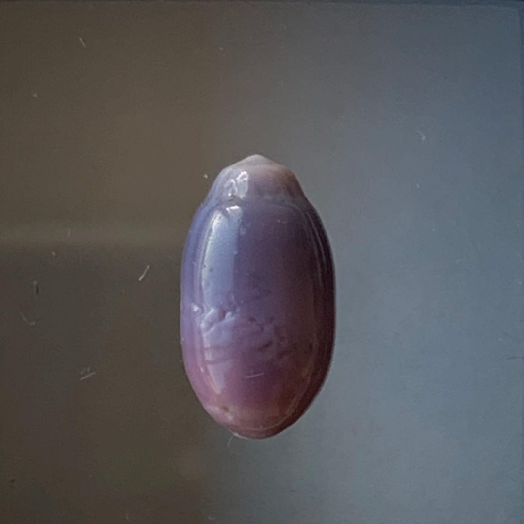 Rare Natural Purple Quahog Pearl — Drop Shape 15.5mm — Undrilled Loose ...