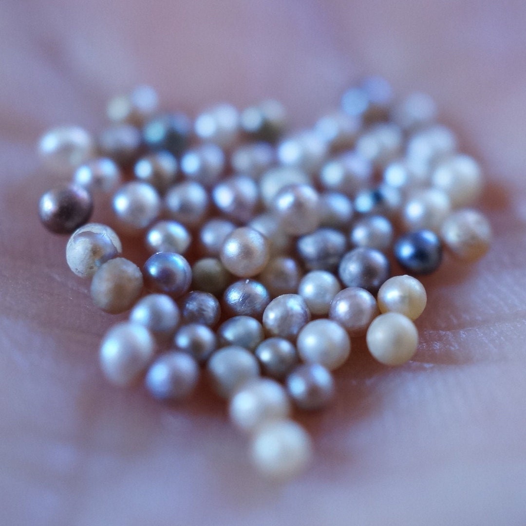 Natural Roundish Seed Pearls (40pcs) — 1.1–1.5mm — Loose Mixed Color ...