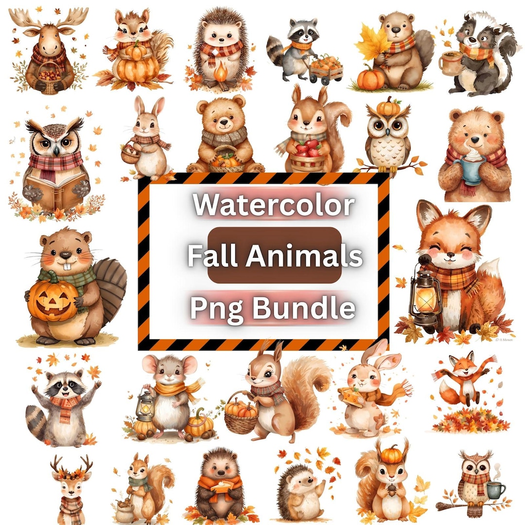 Cute Fall Clipart,fall Animal Clipart,woodland Animals Png,fall ...