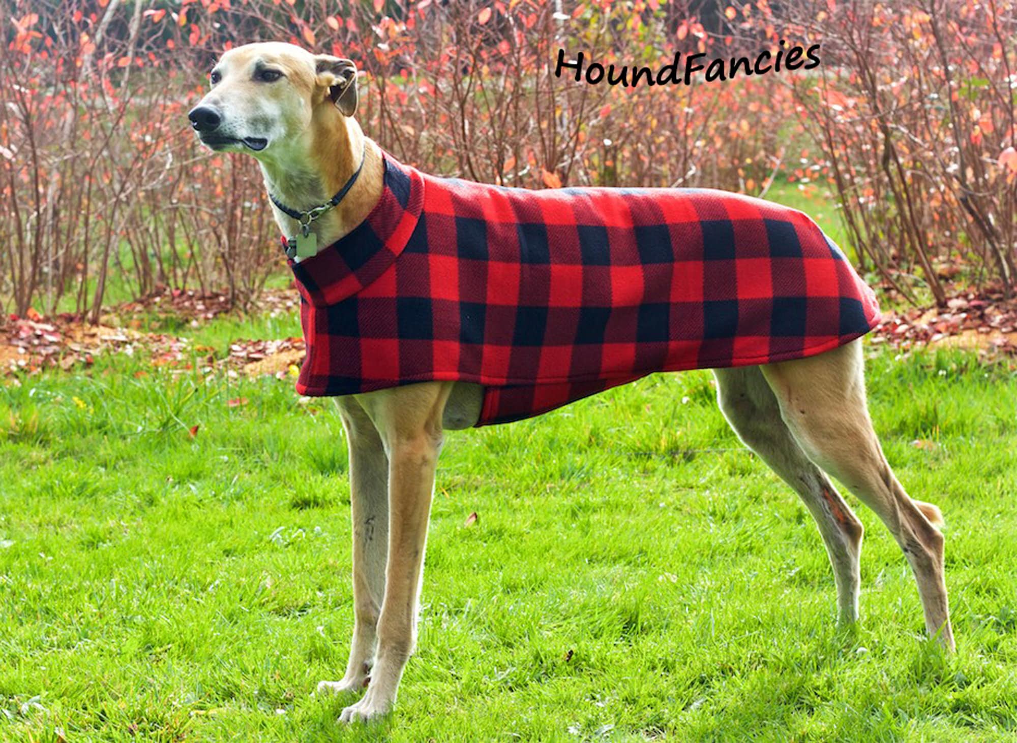 Short Collar Greyhound Coat in Fleece Size Large or | Etsy