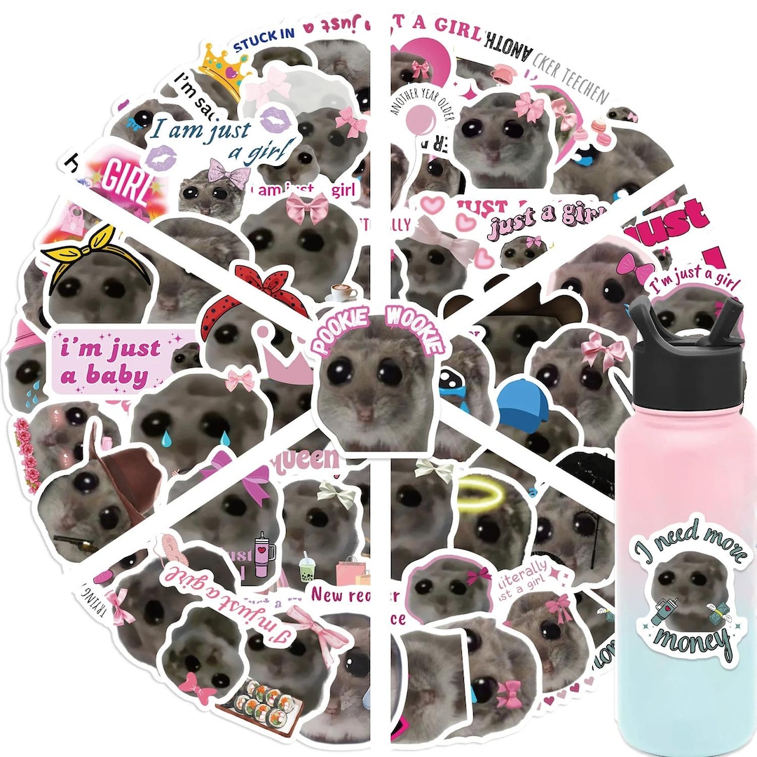 56pcs Sad Hamster Meme Decals Cute Stickers Aesthetic Phone Notebook ...