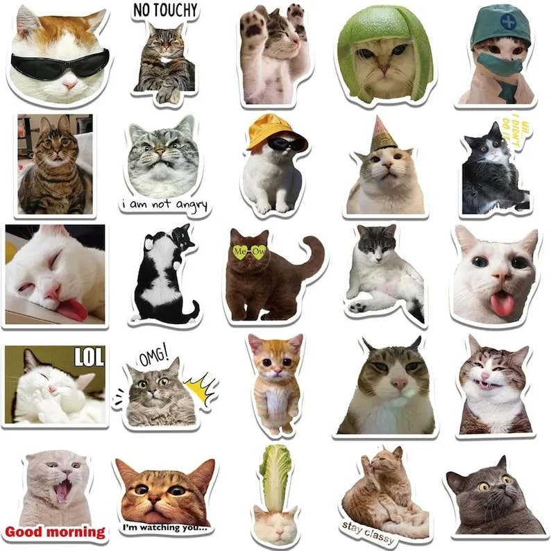 50 PCS Meme Cat Sticker Bundle, Affordable Printable Digital Sticker ...