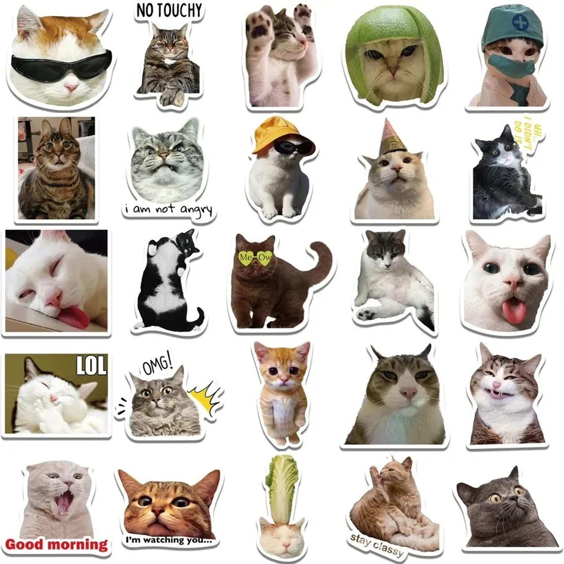 50 PCS Meme Cat Sticker Bundle, Affordable Printable Digital Sticker ...