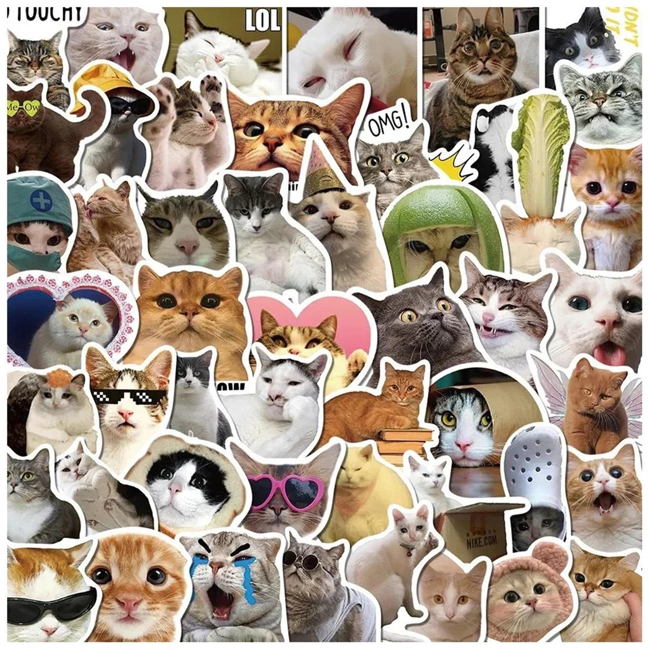50 PCS Meme Cat Sticker Bundle, Affordable Printable Digital Sticker ...
