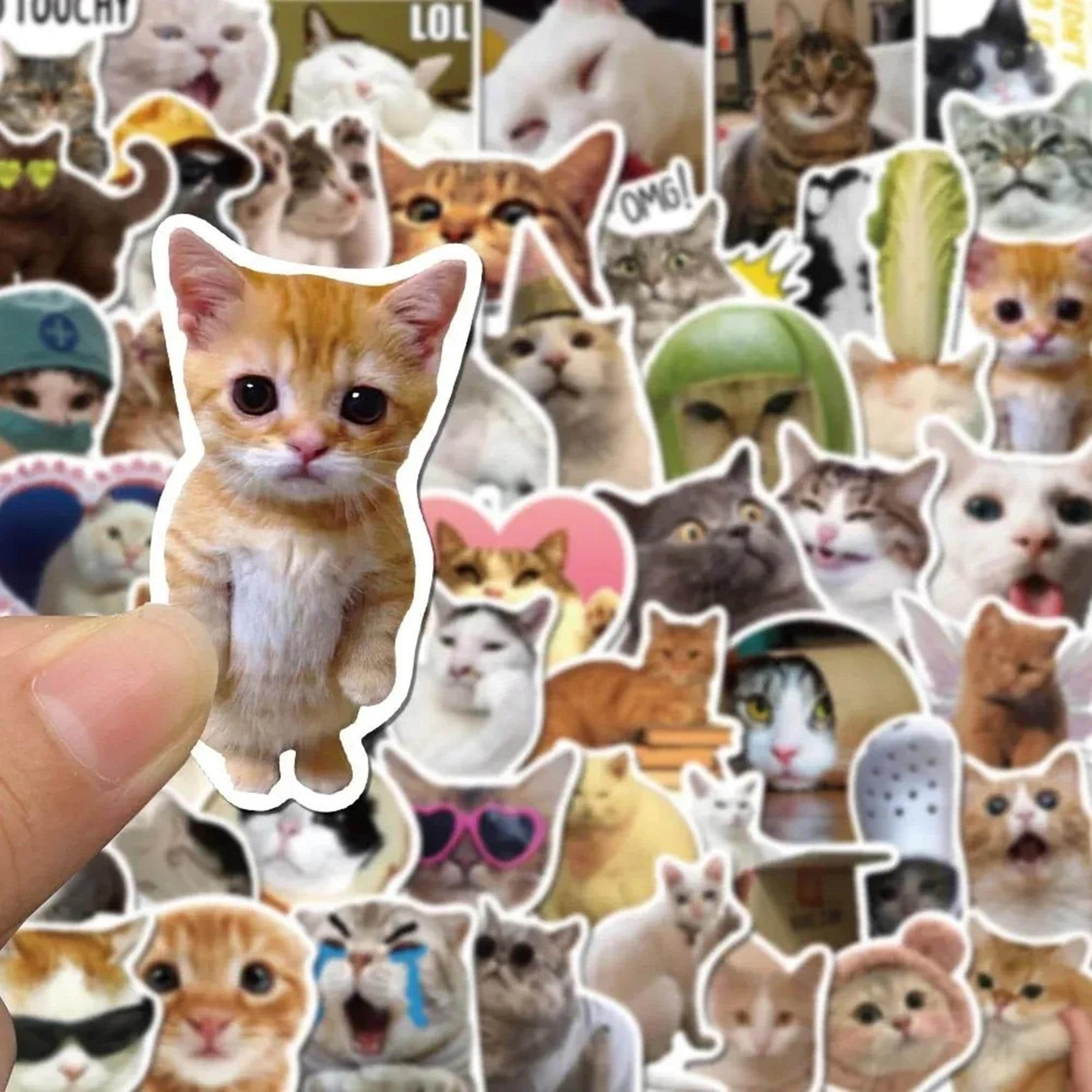 50 PCS Meme Cat Sticker Bundle, Affordable Printable Digital Sticker ...