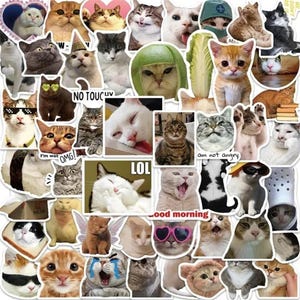 50 PCS Meme Cat Sticker Bundle, Affordable Printable Digital Sticker ...