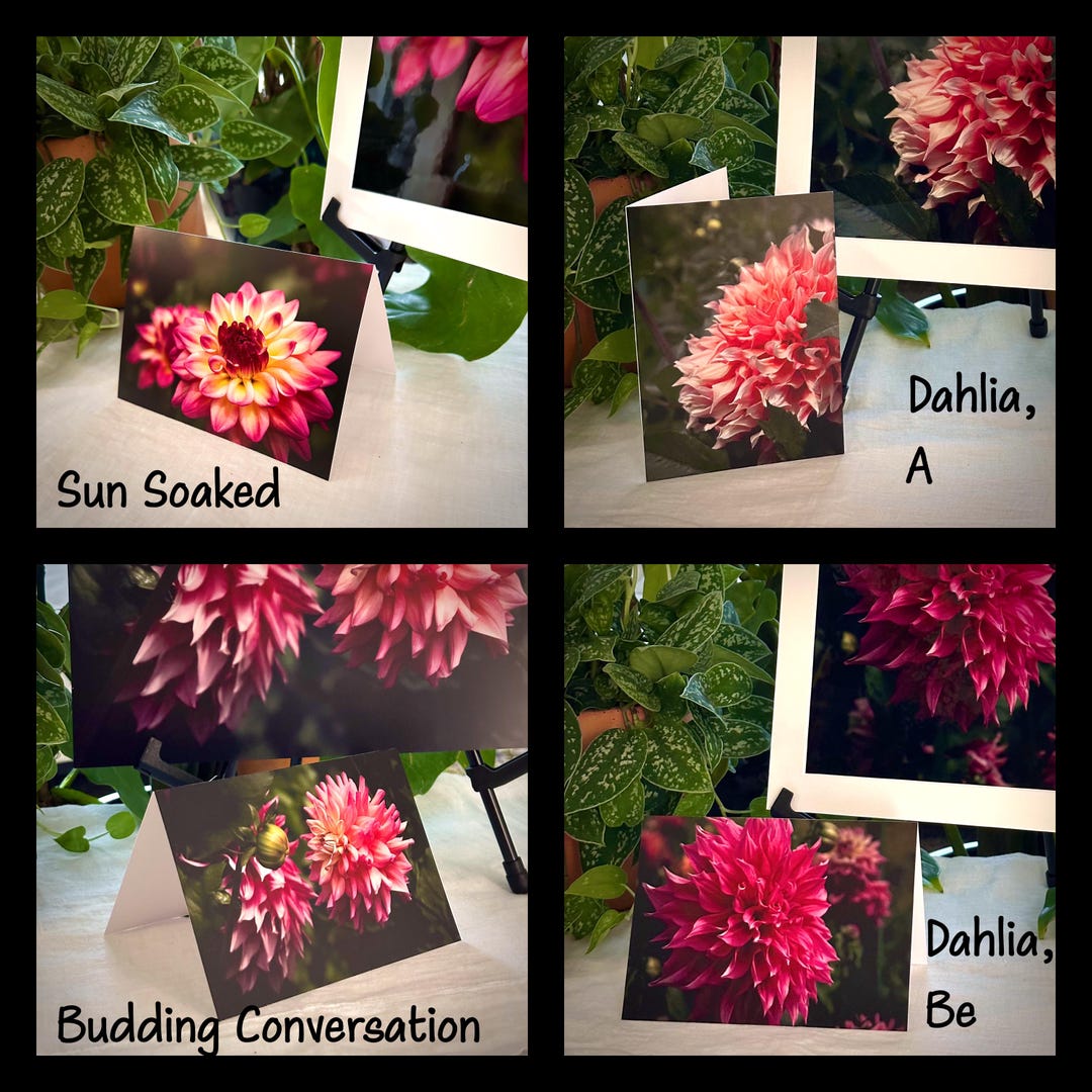 Nature Inspired Greeting Cards ∫ Glossy Finish, Blank Inside, 5"x7 ...