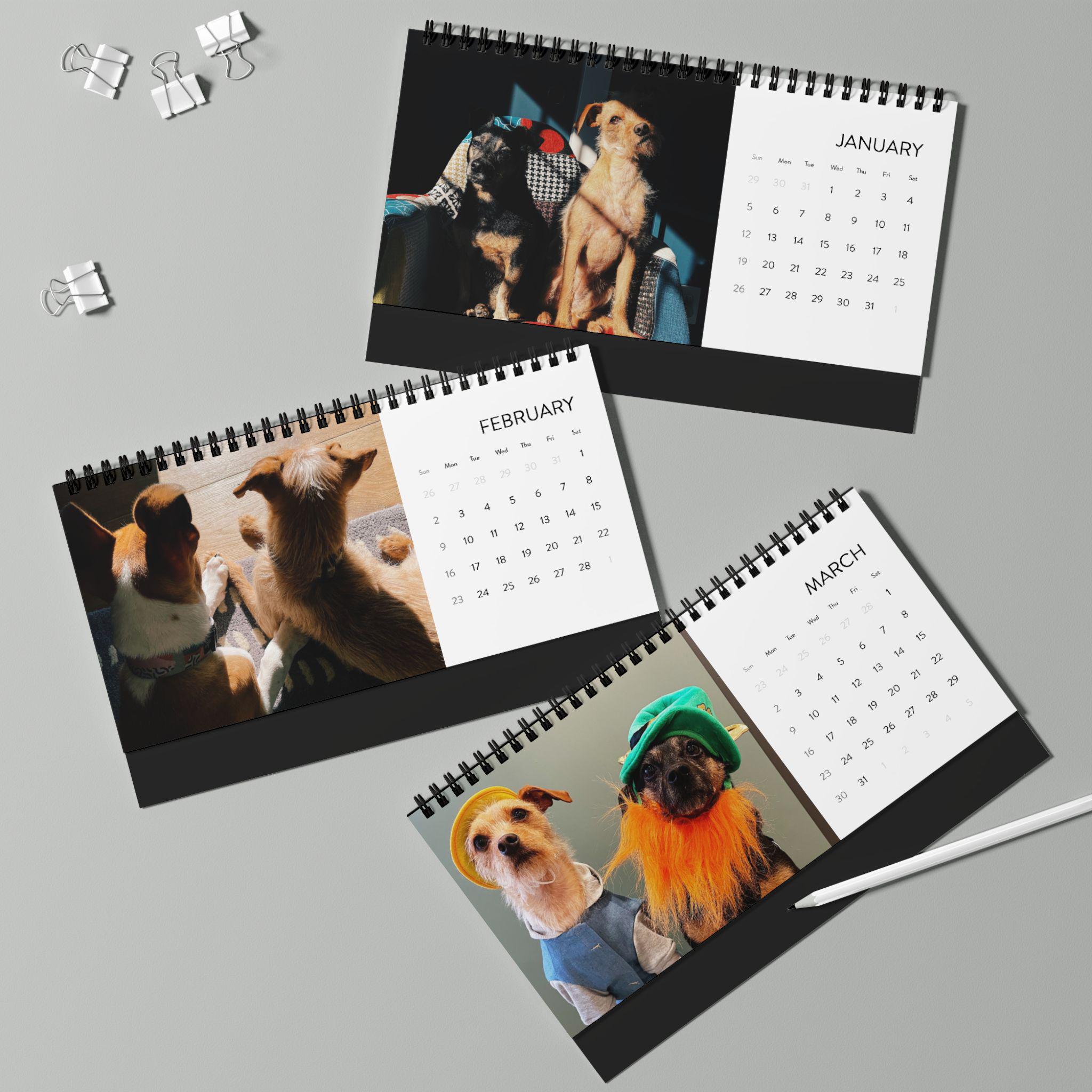 2025 Dog-themed Desktop Calendar, Perfect for Dog Lovers, Best Friends ...