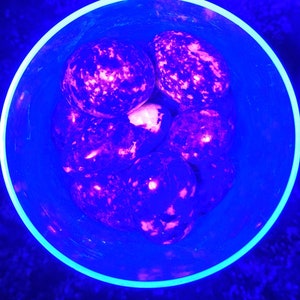 Yooperlite and FREE Uv Flashlight ,500 Carats of Uv Reactive Natural ...