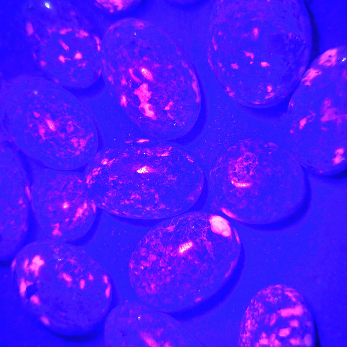 Yooperlite and FREE Uv Flashlight ,500 Carats of Uv Reactive Natural ...