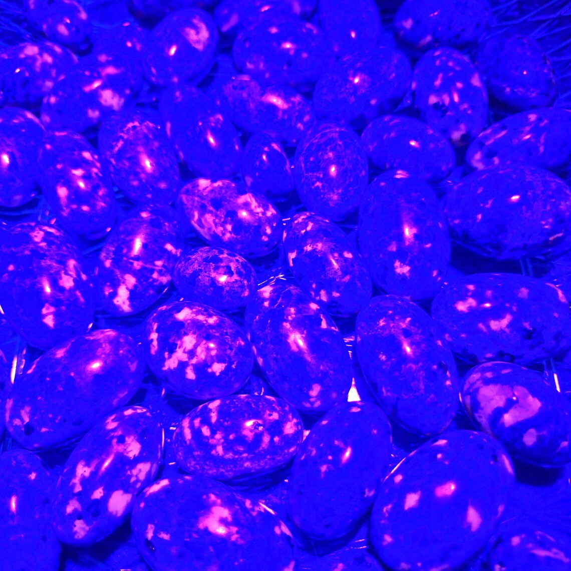 Yooperlite and FREE Uv Flashlight ,500 Carats of Uv Reactive Natural ...