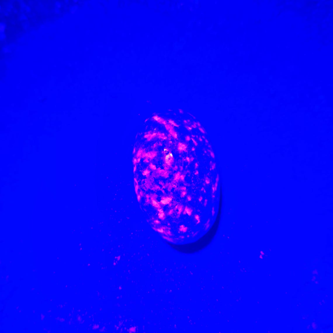 Yooperlite and FREE Uv Flashlight ,500 Carats of Uv Reactive Natural ...