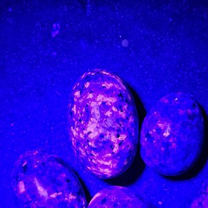 Yooperlite and FREE Uv Flashlight ,500 Carats of Uv Reactive Natural ...