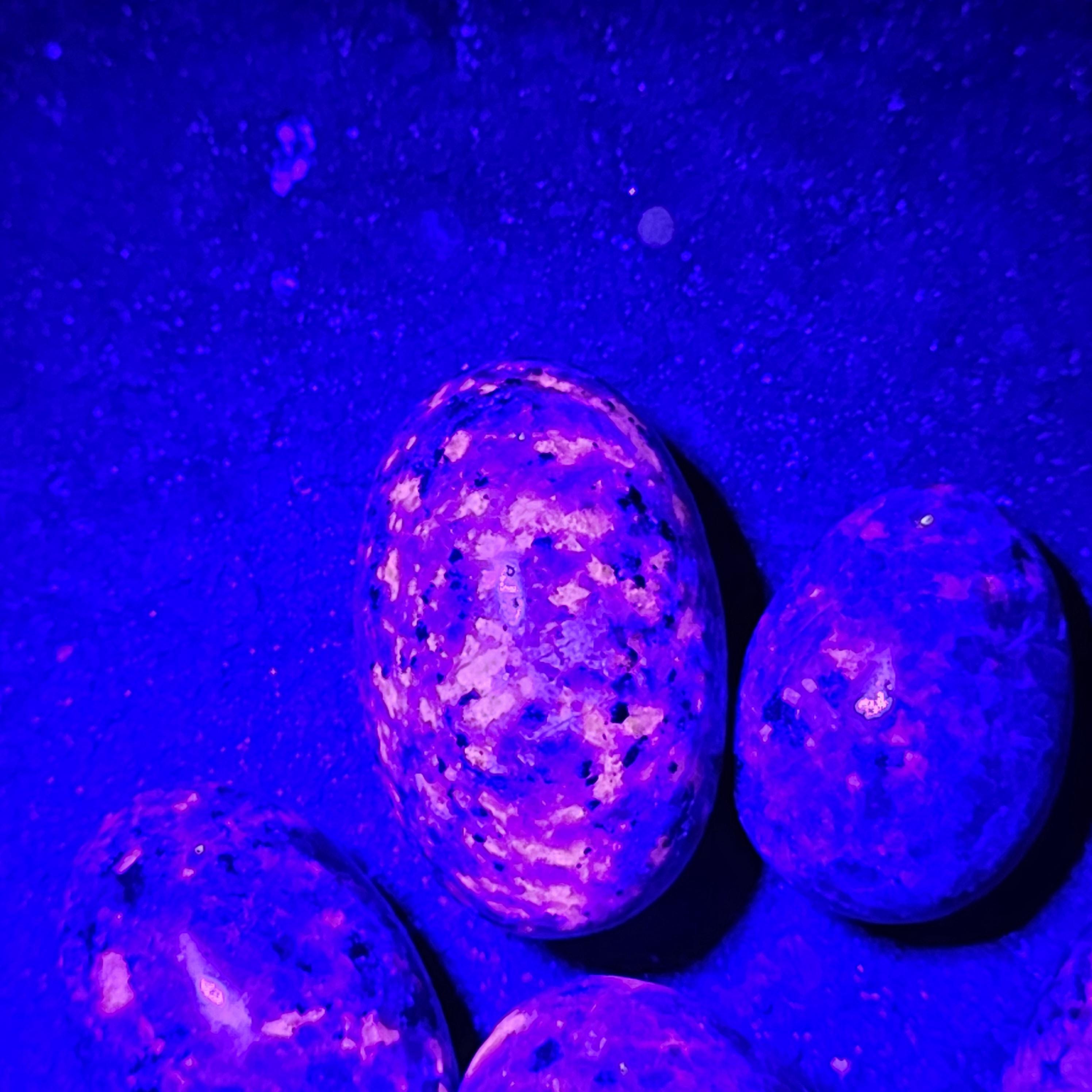 Yooperlite and FREE Uv Flashlight ,500 Carats of Uv Reactive Natural ...