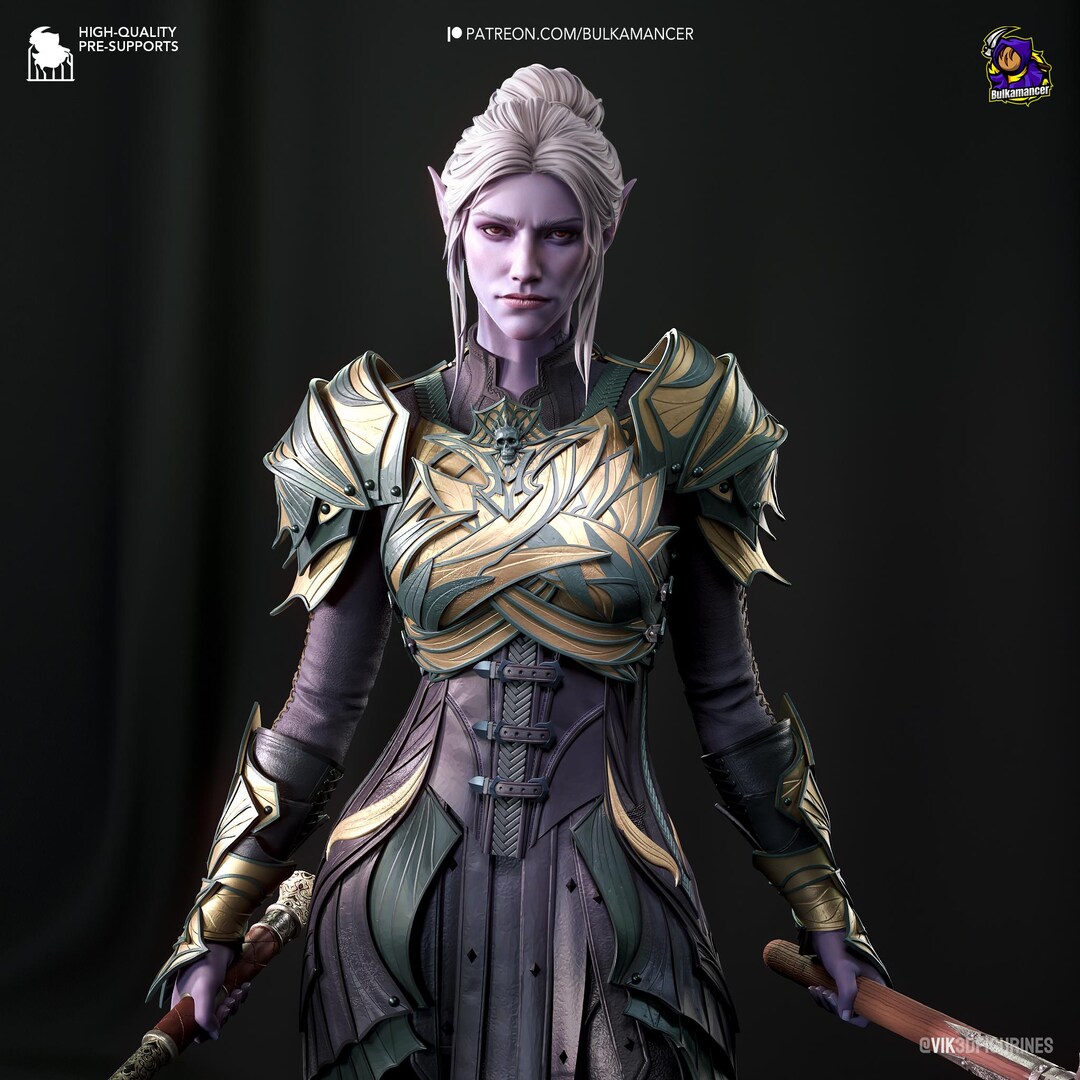 DARK ELF PALADIN von [Bulkamancer Sculpts] | 240mm Figur | 16K 3D Druck ...