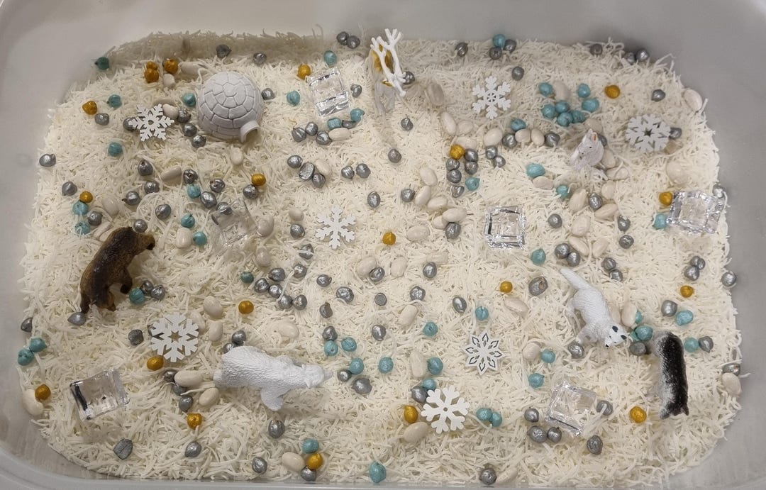 Arctic Land Animals Sensory Kit - Etsy