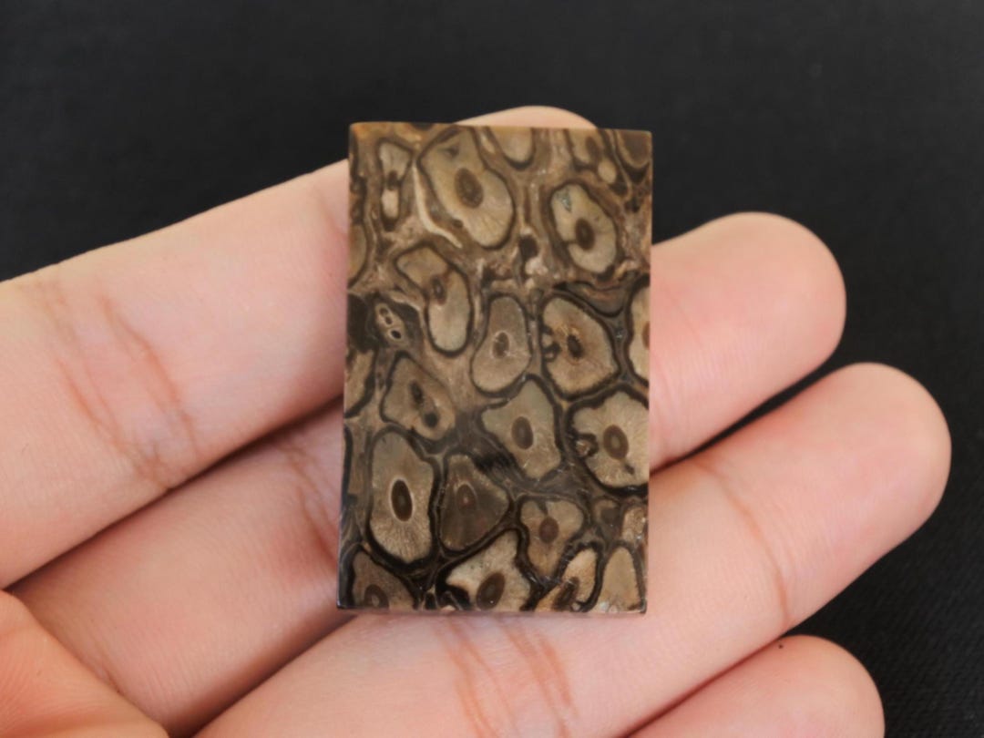 Fossilized Palm Tree Indo Palm Tree Fossilized Stone Palm Tree Pendant ...