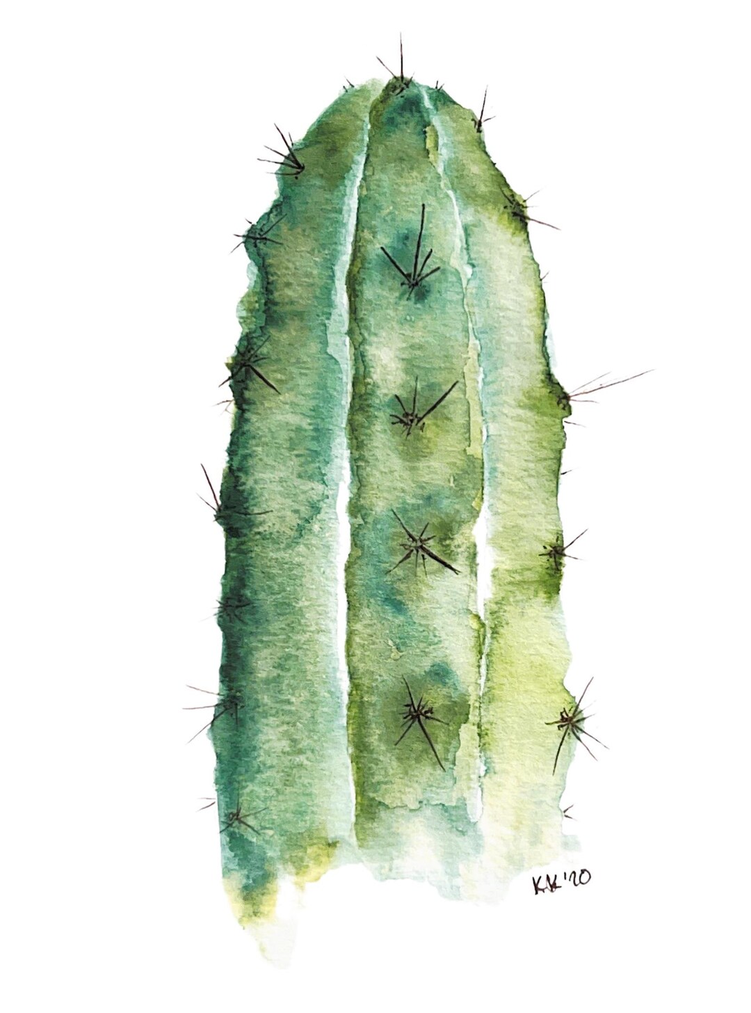 Cactus Cards - Etsy
