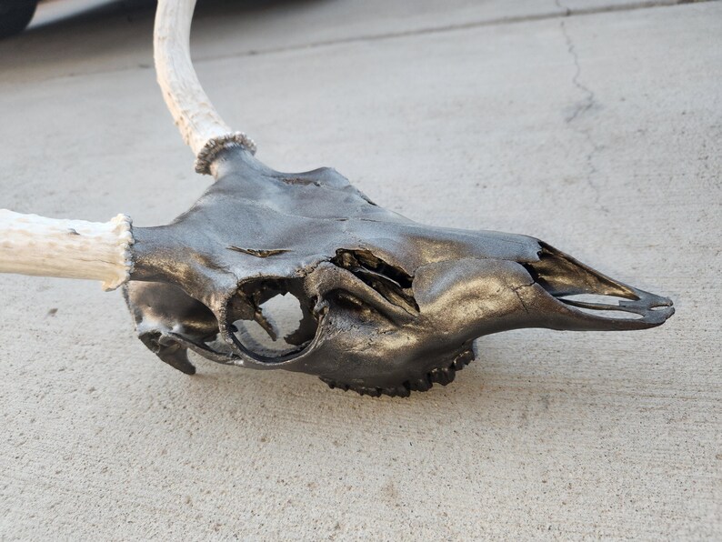 Bronze Metallic Deer Skull With Antlers - Etsy