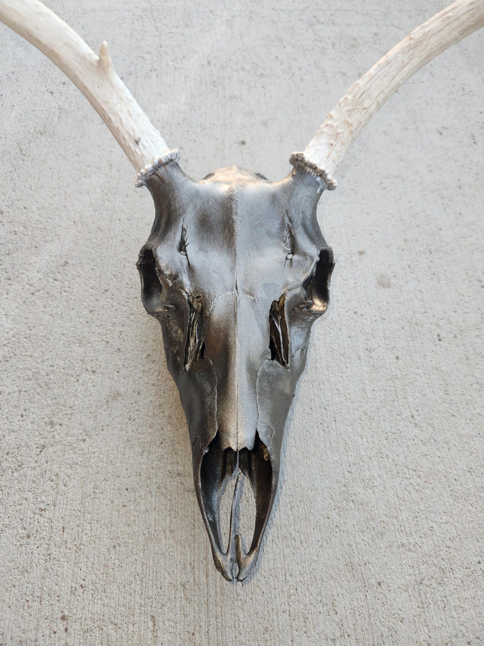 Bronze Metallic Deer Skull With Antlers - Etsy