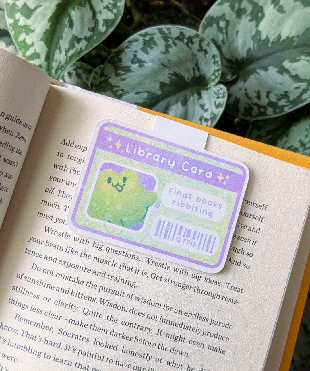 Frog Library Card Magnetic Bookmark - Cute Holographic Art - Etsy