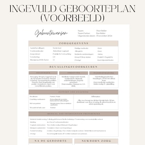 Geboorteplan Met Geboortewensen - Bevalplan Canva Sjabloon Voor ...
