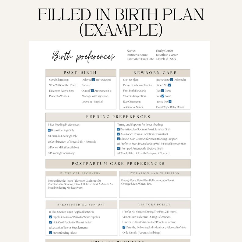 Birth Plan Template for Labor and Delivery Doula Midwife New Mom ...